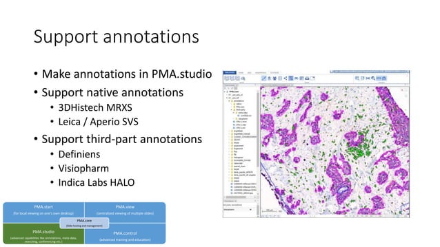 Pathomation product showcase | PPT