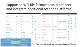 Pathomation product showcase | PPT