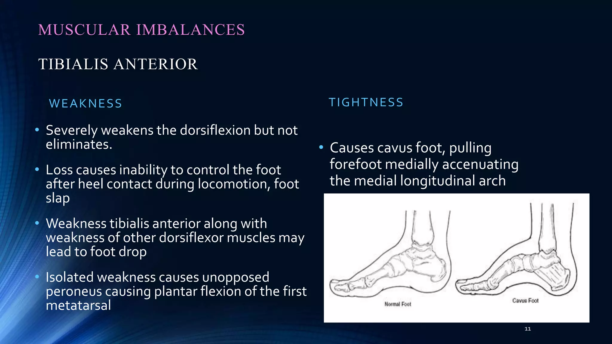Pathomechanics of Ankle joint | PPTX