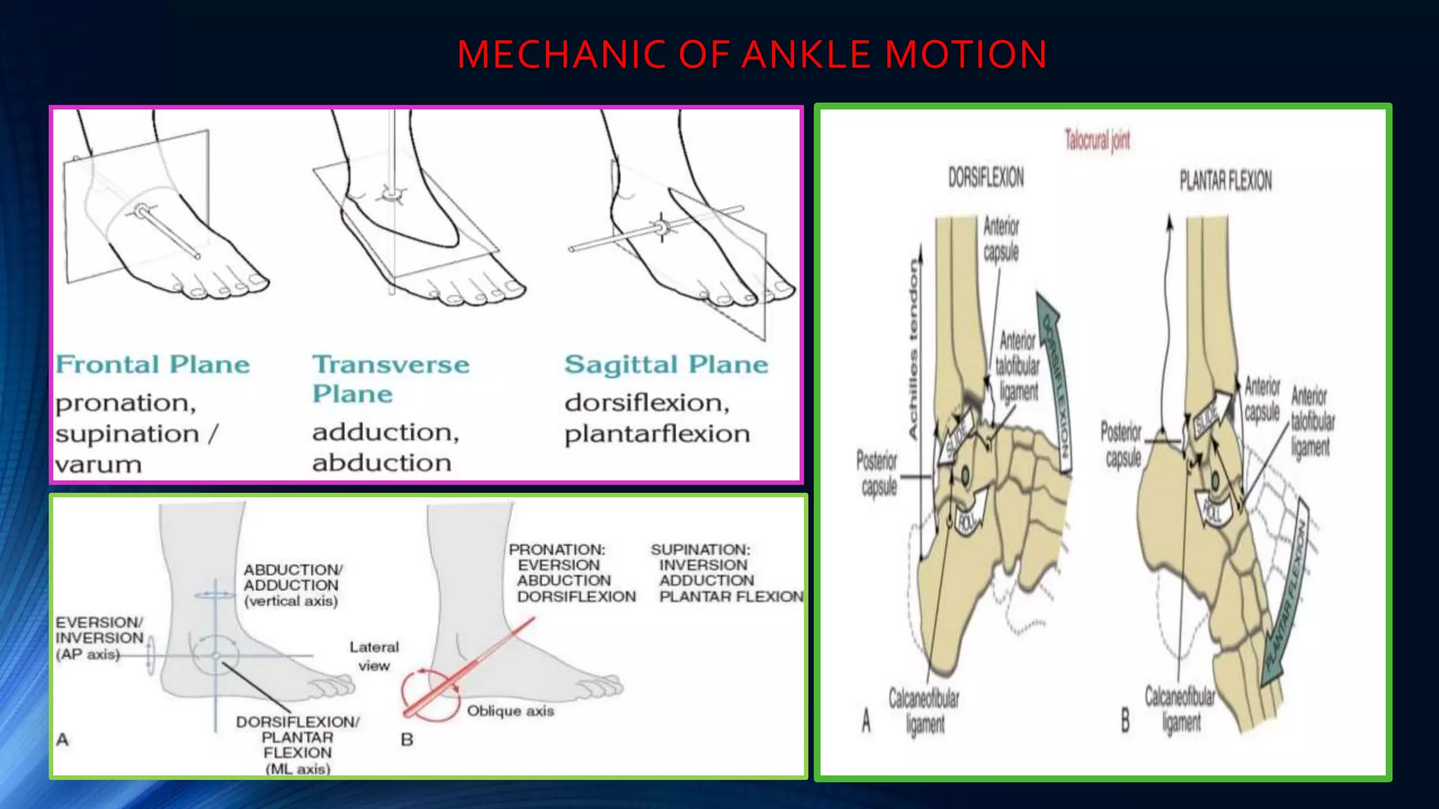 Pathomechanics of Ankle joint | PPTX