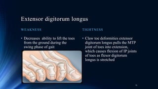 Pathomechanics of Ankle joint | PPTX