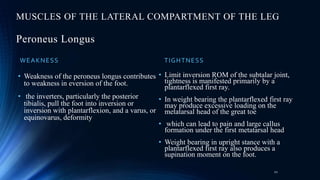 Pathomechanics of Ankle joint | PPTX