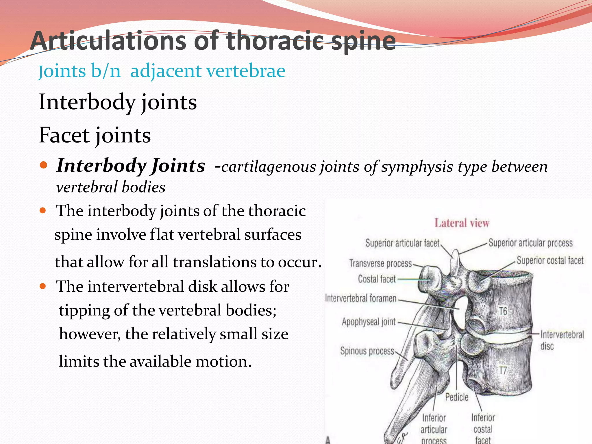 Pathomechanics of thoracic spine disease | PPTX