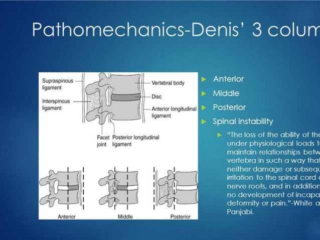 PATHOMECHANICS OF VERTEBRAL COLUMN.pptx