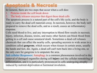Pathology & micro biology intro | PPTX