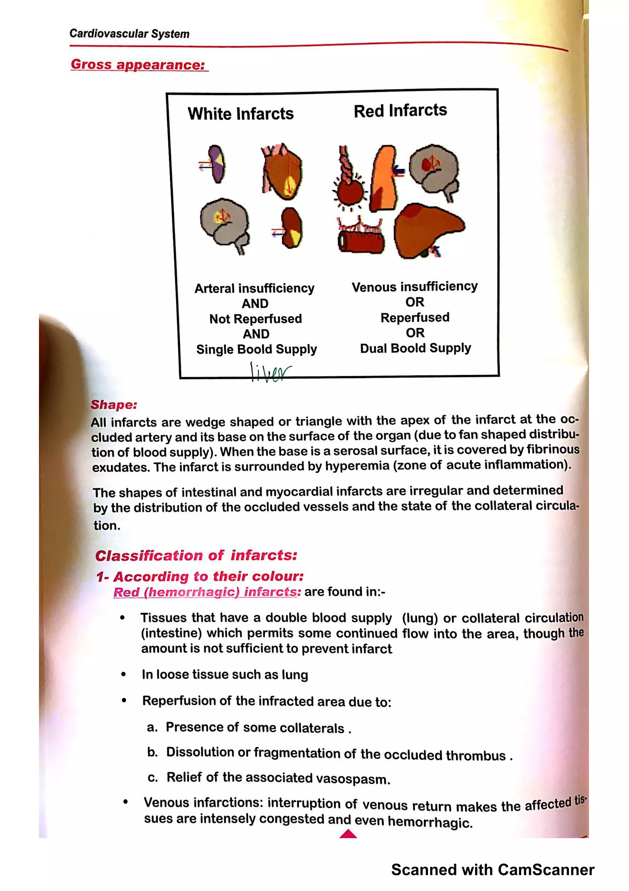 Patho mod. 12 cvs | PDF