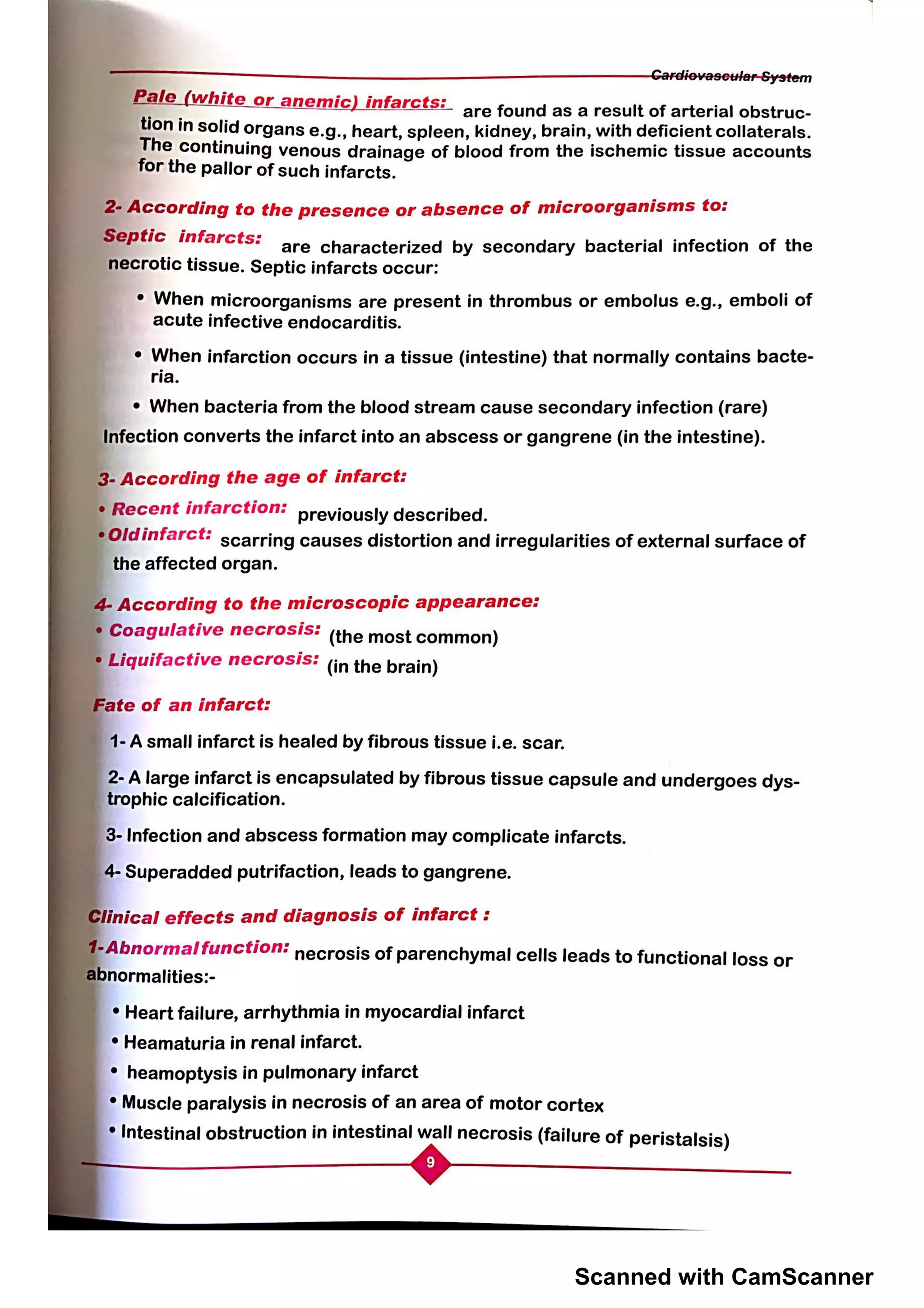 Patho mod. 12 cvs | PDF