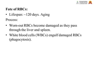 Comprehensive Overview of Blood and Urine Pathology: Causes, Diagnosis ...