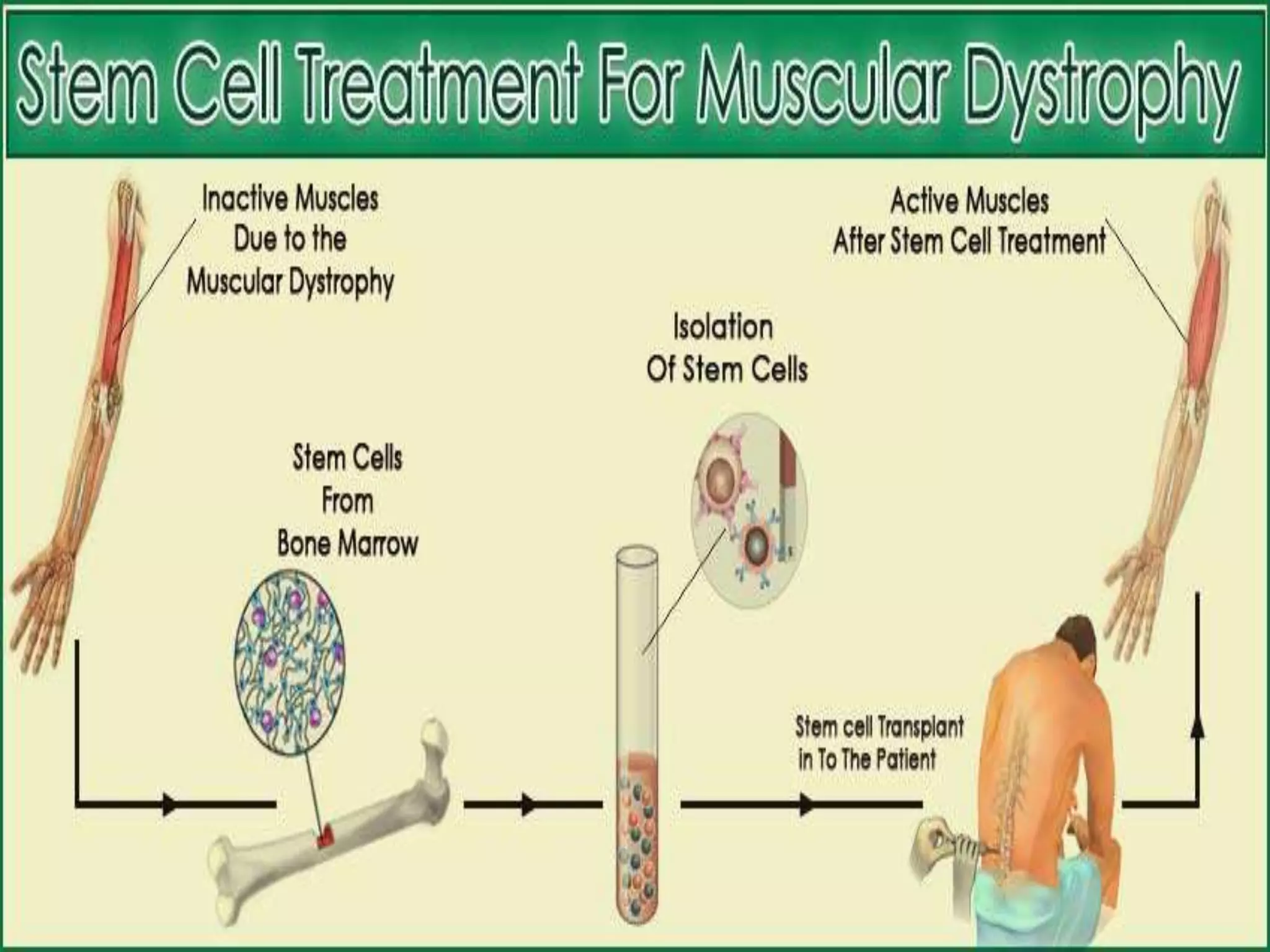 CELL ORGANELLE DISORDERS | PPTX