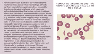 pathophis 2 hemolytic anemia a disorder in which red blood cells are ...