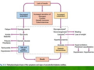 Pathophysiology DM. | PPTX