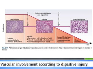 Pathophysiology DM. | PPTX