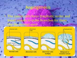 Pathophysioligy of cancer | PPTX | Cancer | Diseases and Conditions