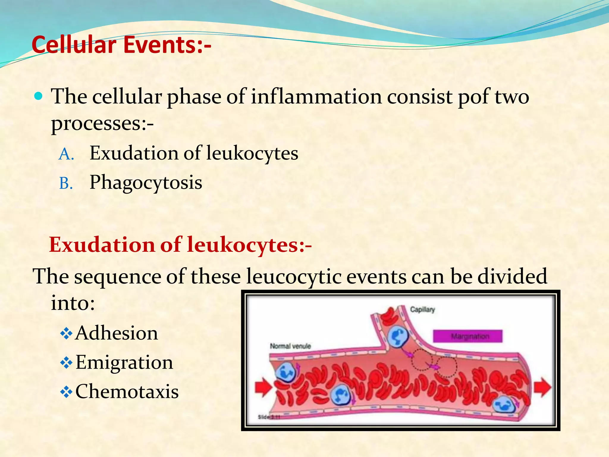pathophysiological mechanism of a diseadse.pptx