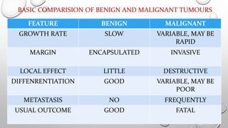Pathophysiological overview of cancer | PPT