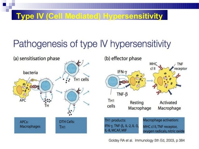 Pathophysiology Hypersenstivity