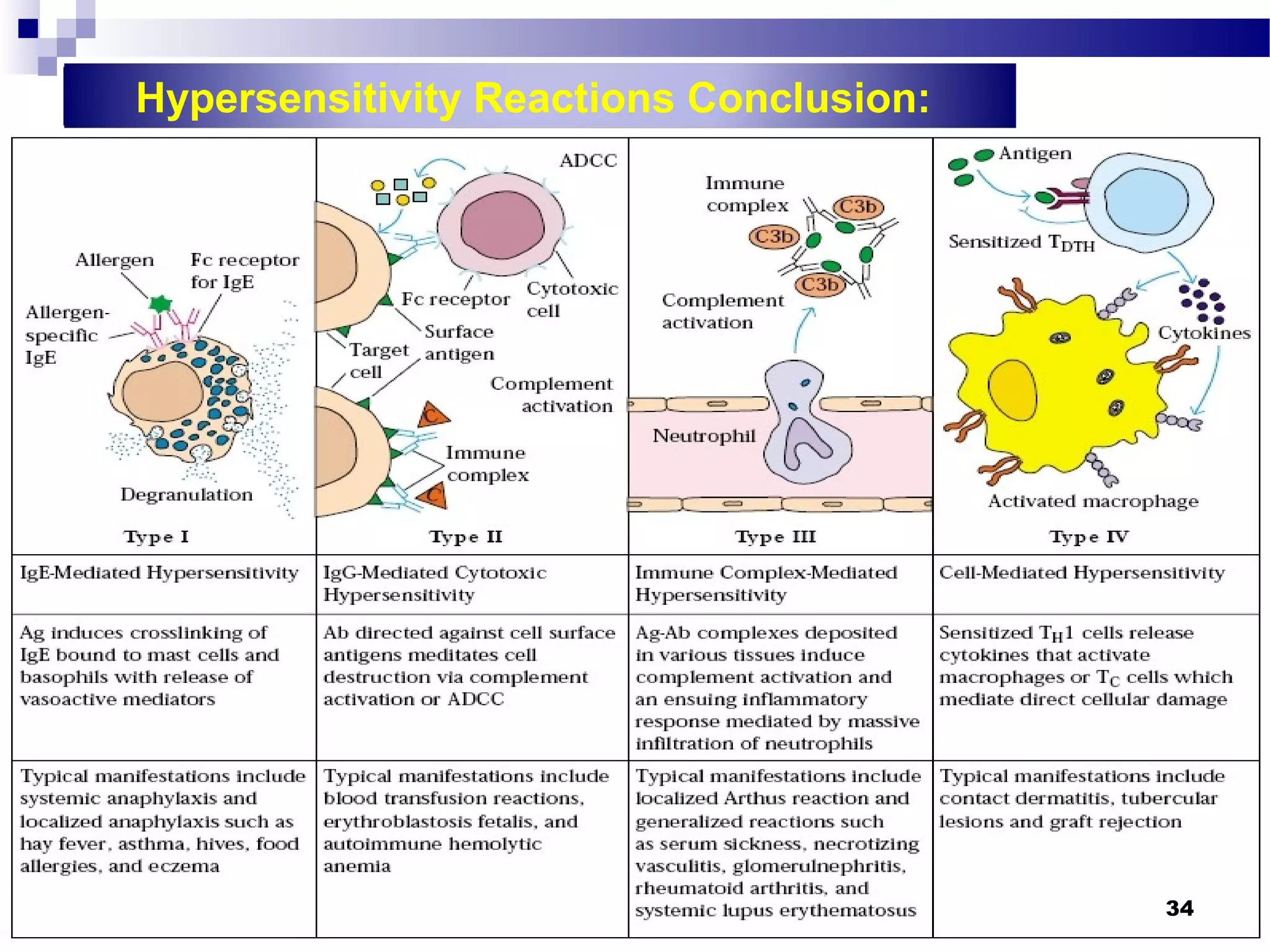 Hypersensitity, And Types of Hypersensitivity I, II, III, IV | PPT