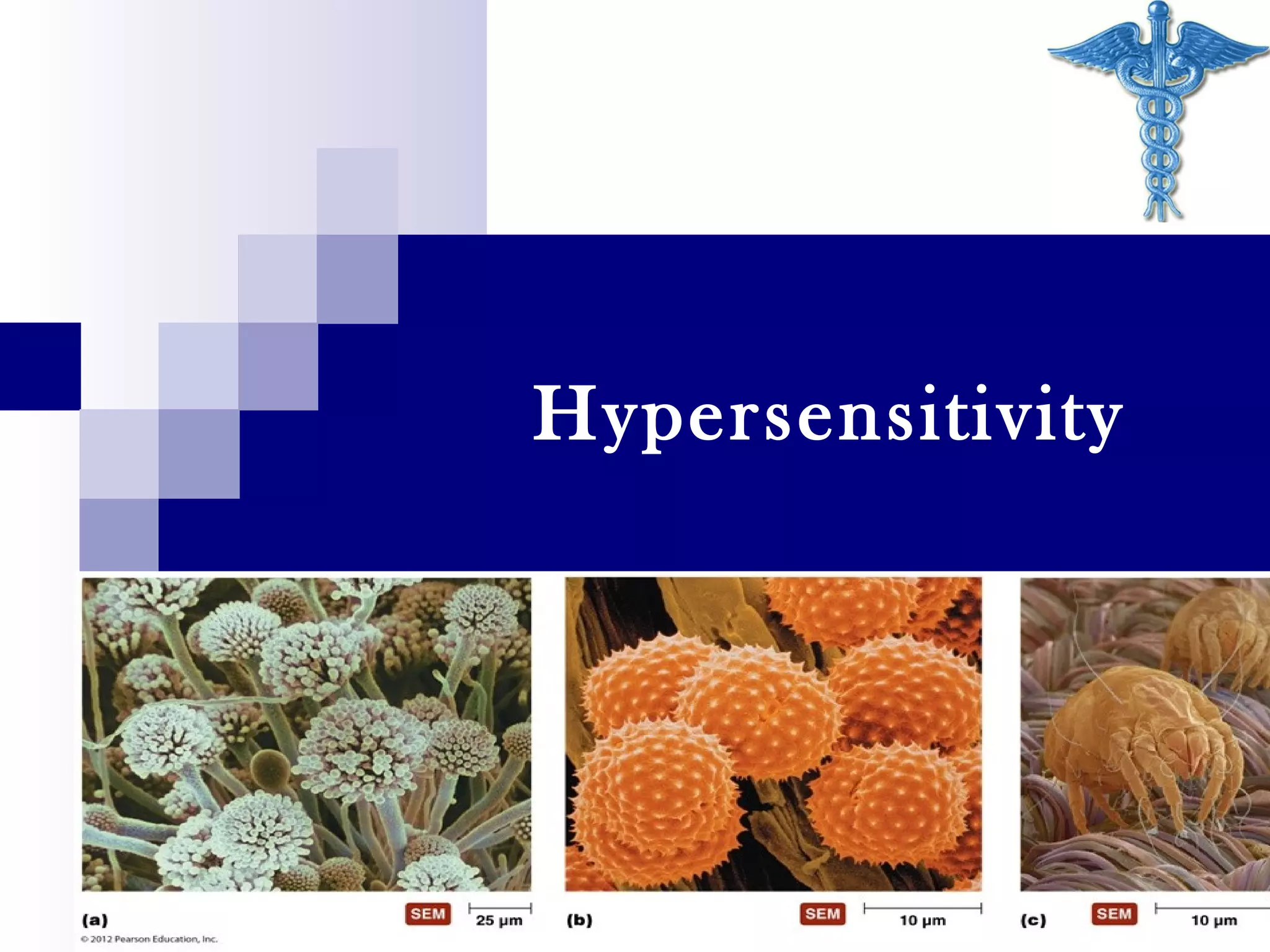 Hypersensitity, And Types of Hypersensitivity I, II, III, IV | PPT