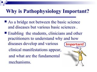 Importance Of Pathophysiology In Nursing – VHGMX