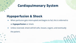Pathophysiology: Introduction to Circulatory and Respiratory System | PPT