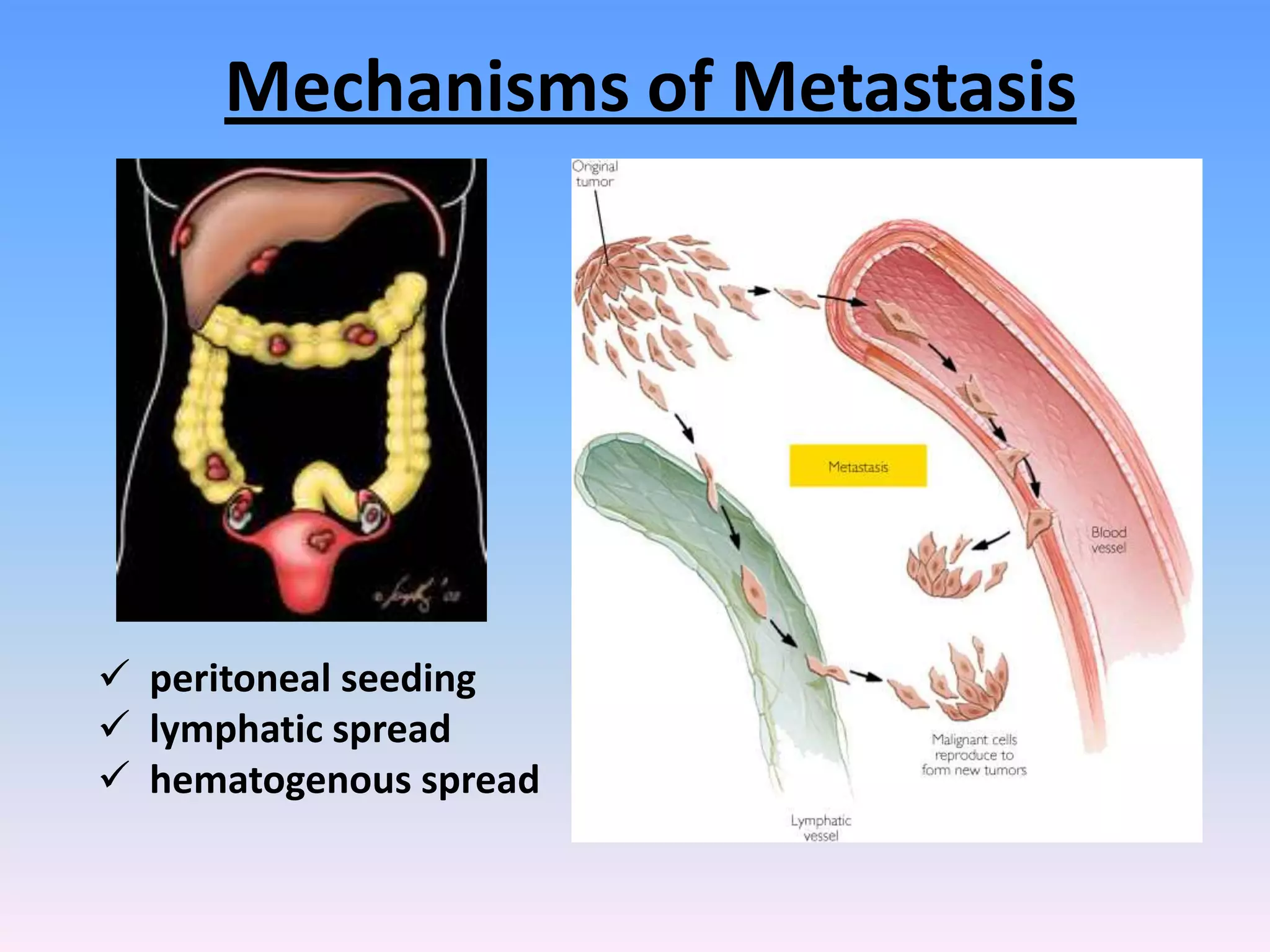 Pathophysiology Medical Ward | PPTX