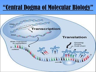 Pathophysiology Medical Ward | PPTX