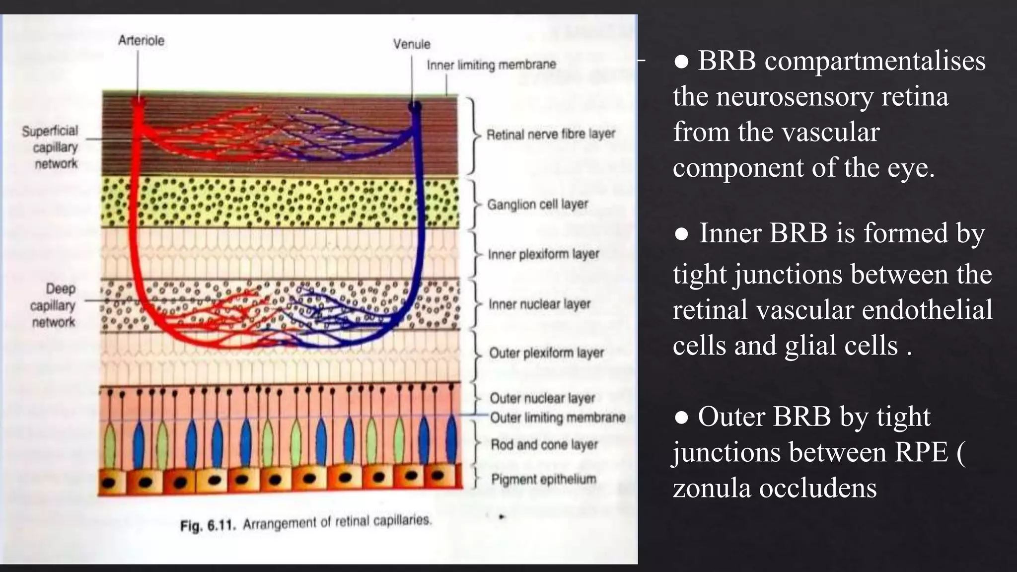 Pathophysiology of Diabetic retinopathy | PPTX