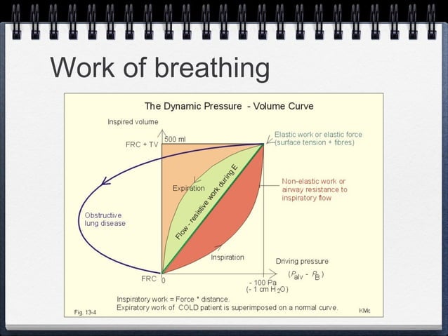 Pathophysiology of acute respiratory failure | PPT