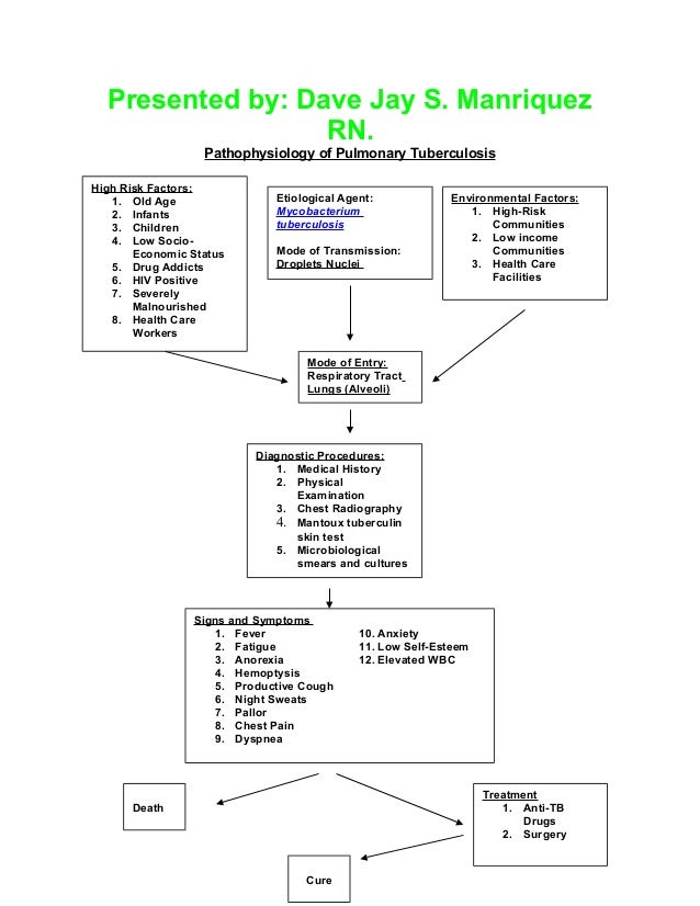 Pathophysiology Of Pulmonary Tuberculosis