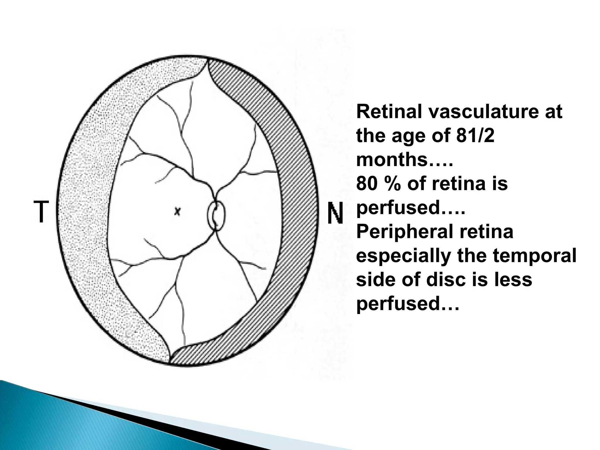 Retinal lesions Pathophysiology | PPT