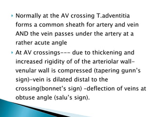 Retinal lesions Pathophysiology | PPT