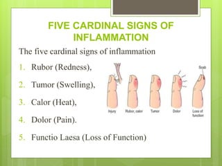 Pathophysiology-Unit 2.pptx | Infectious Diseases | Diseases and Conditions