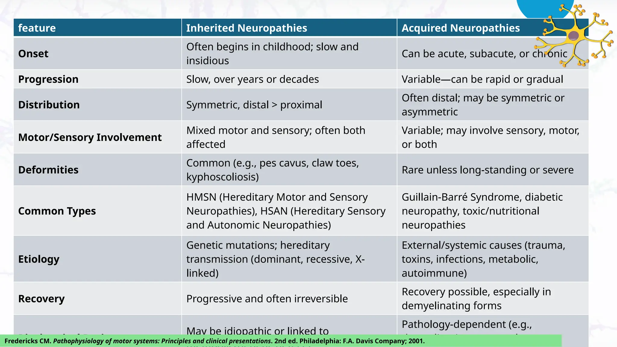 Pathophysiology And Clinical Features Of Peripheral Nervous System .pptx
