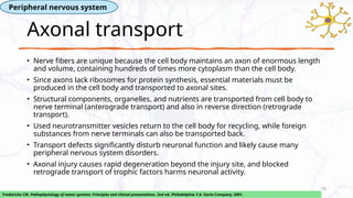 Pathophysiology And Clinical Features Of Peripheral Nervous System .pptx
