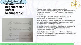 Pathophysiology And Clinical Features Of Peripheral Nervous System .pptx