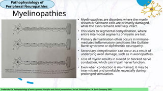 Pathophysiology And Clinical Features Of Peripheral Nervous System .pptx