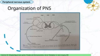 Pathophysiology And Clinical Features Of Peripheral Nervous System .pptx