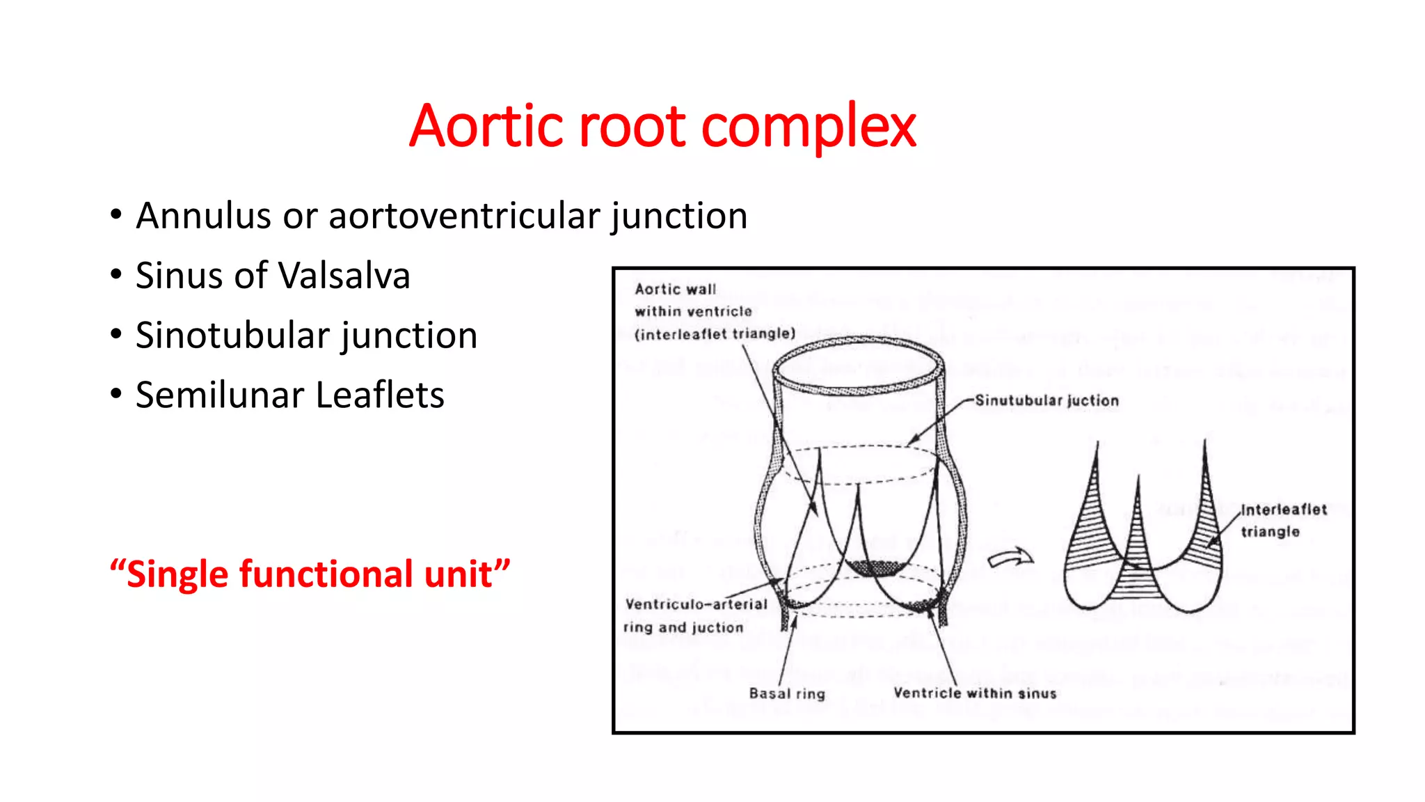 Pathophysiology aortic valve disease | PPTX