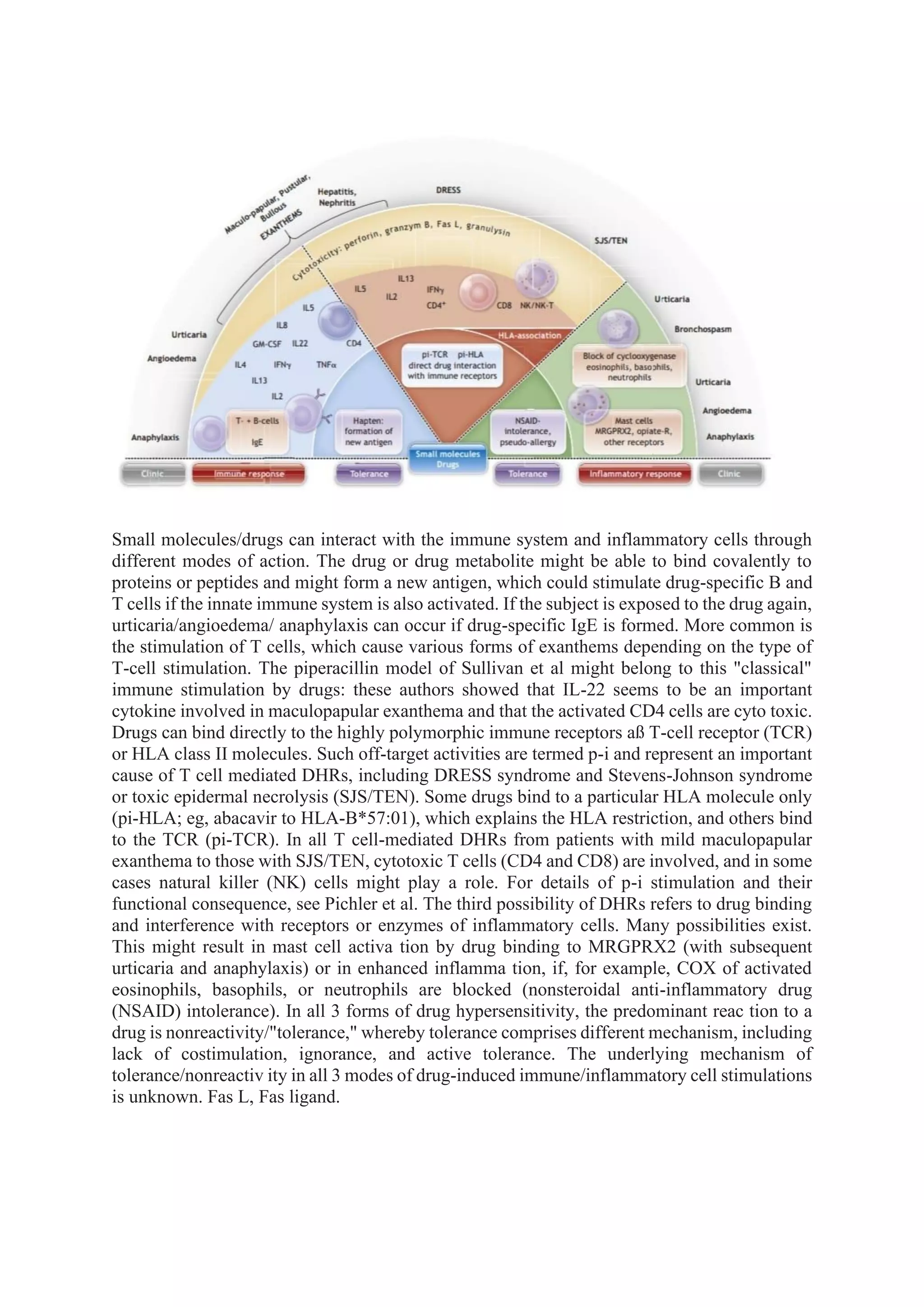 Pathophysiology Assignment.pdf