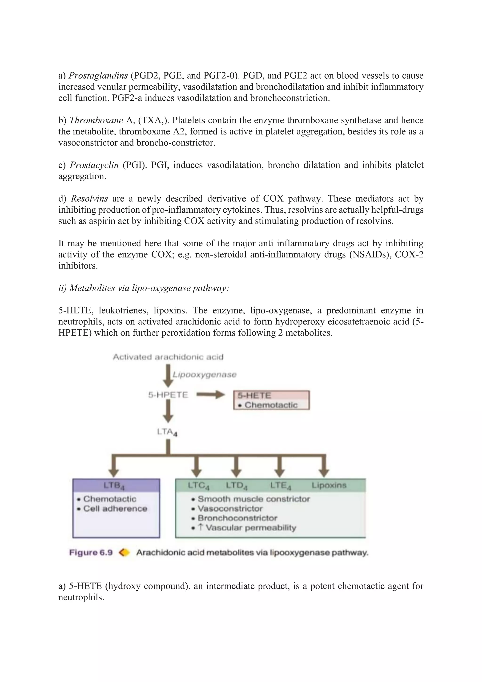 Pathophysiology Assignment.pdf