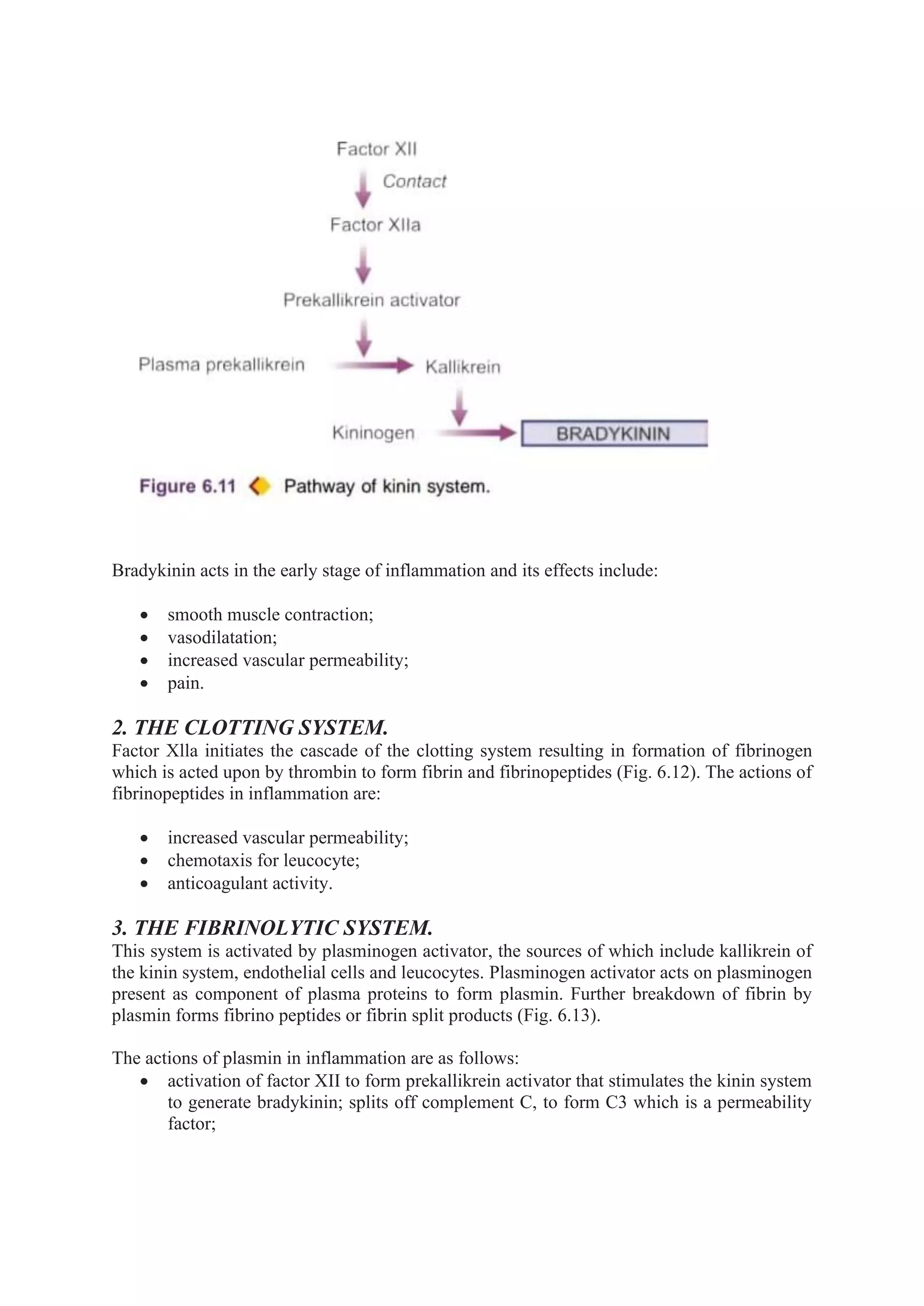 Pathophysiology Assignment.pdf
