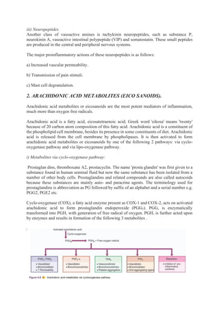 Pathophysiology Assignment.pdf