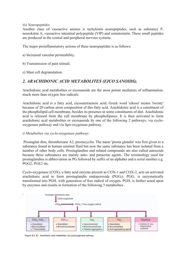 Pathophysiology Assignment.pdf