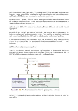 Pathophysiology Assignment.pdf