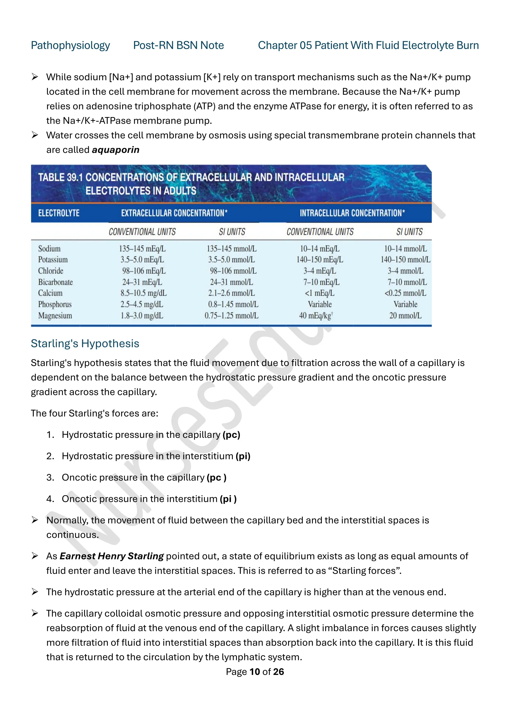 Pathophysiology Chapter 5 Electrolyte Imbalance in Burn Patient Notes.pdf
