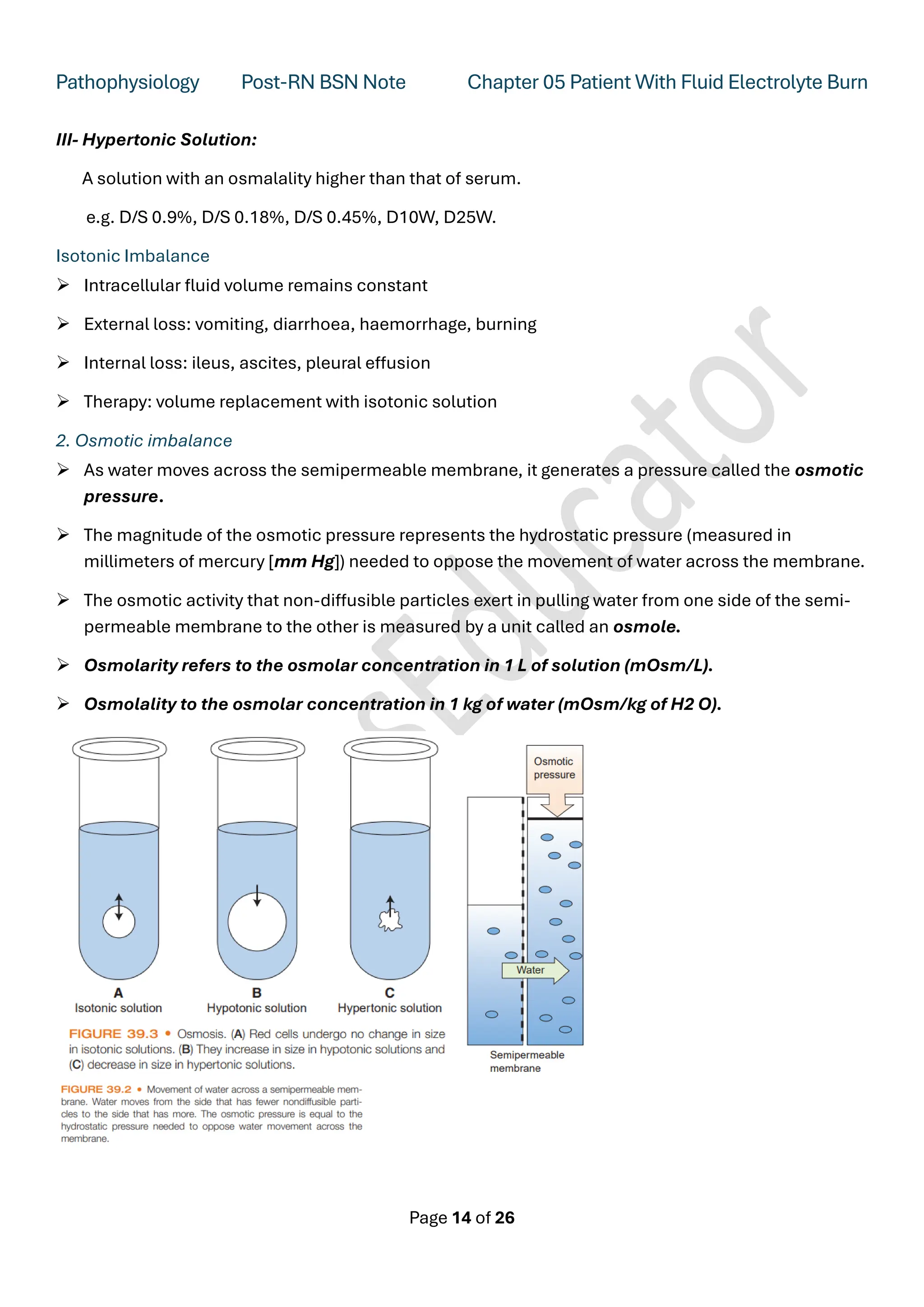 Pathophysiology Chapter 5 Electrolyte Imbalance in Burn Patient Notes.pdf