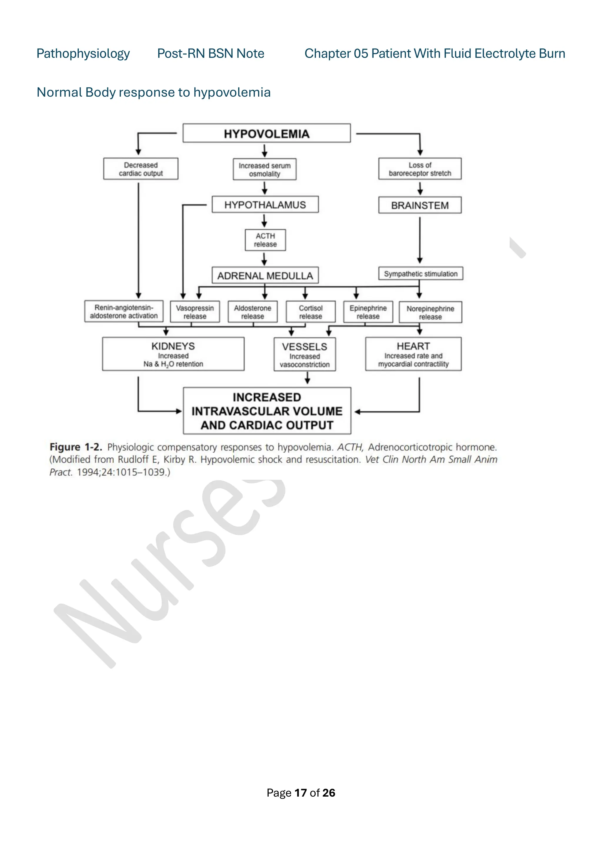 Pathophysiology Chapter 5 Electrolyte Imbalance in Burn Patient Notes.pdf