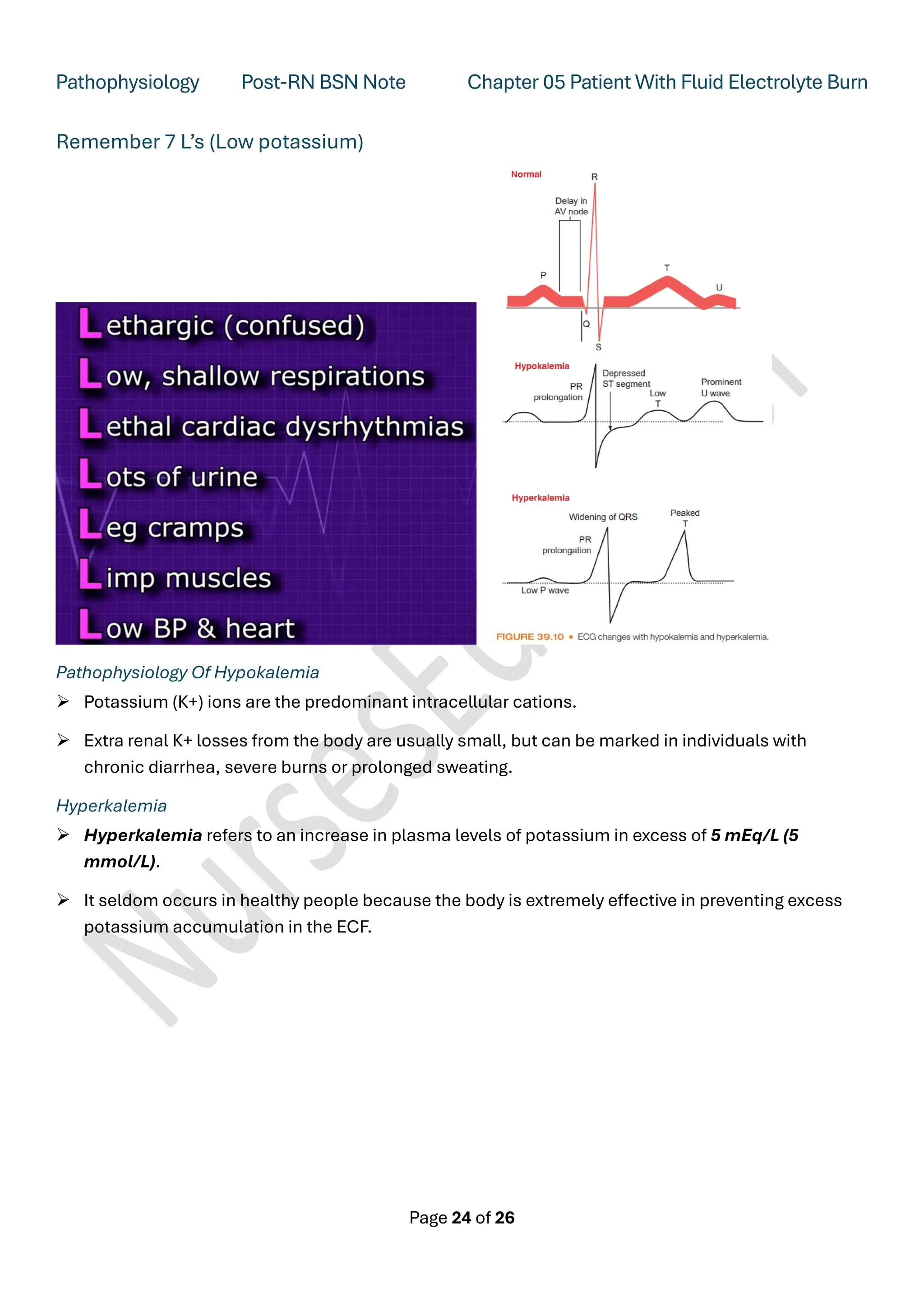 Pathophysiology Chapter 5 Electrolyte Imbalance in Burn Patient Notes.pdf