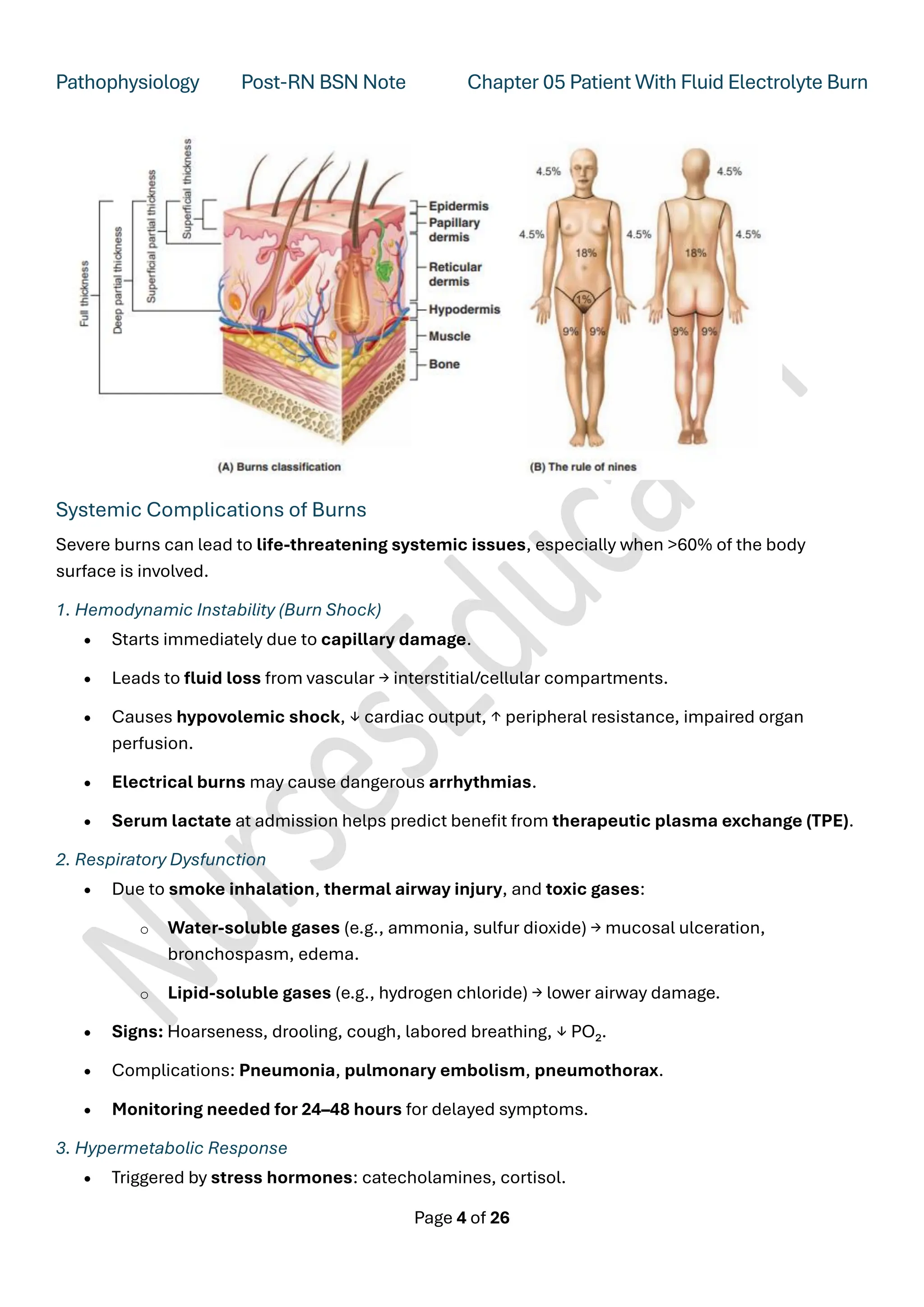 Pathophysiology Chapter 5 Electrolyte Imbalance in Burn Patient Notes.pdf