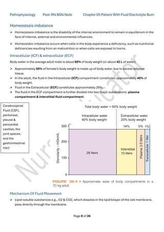 Pathophysiology Chapter 5 Electrolyte Imbalance in Burn Patient Notes.pdf